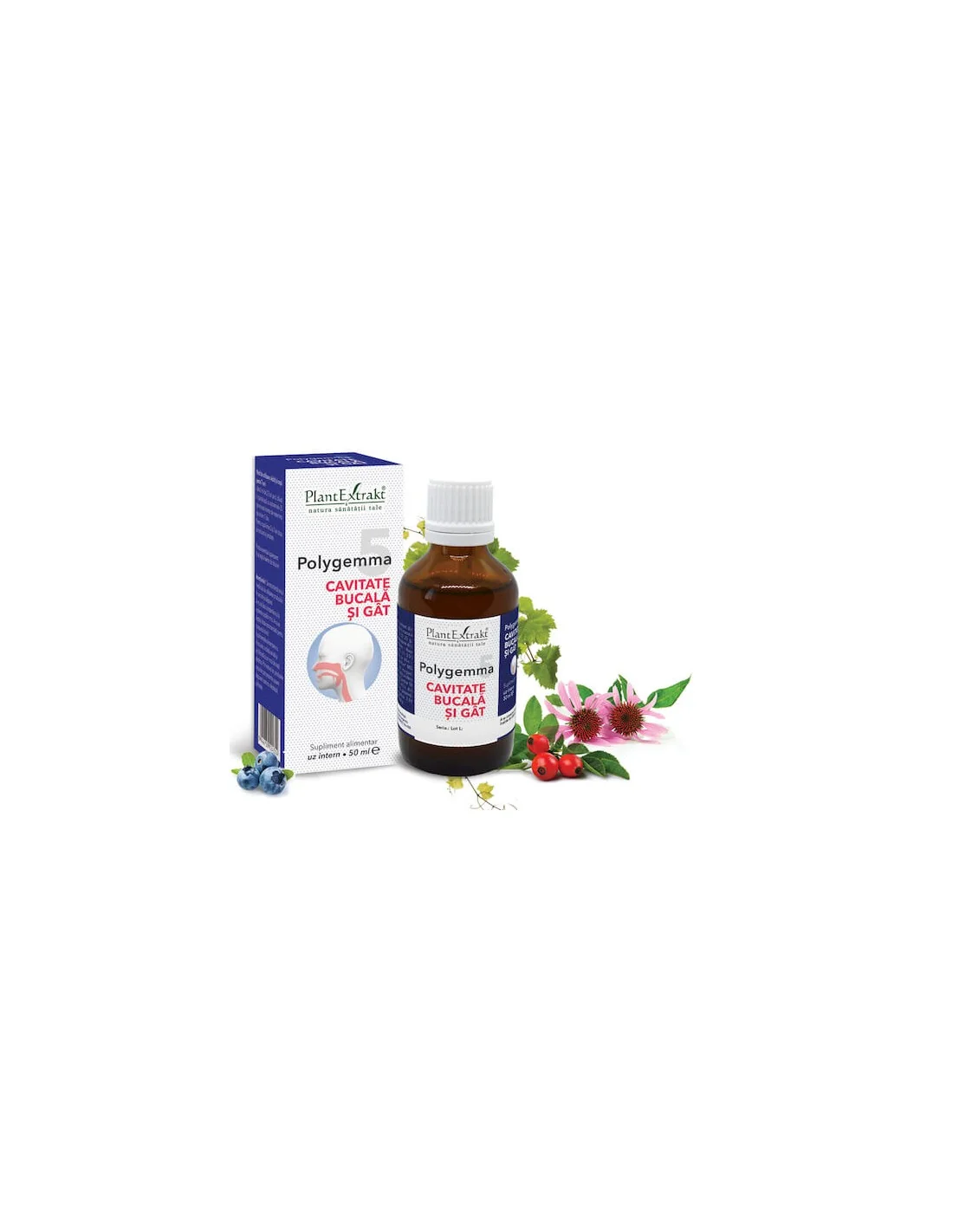 Polygemma 5 Cavitate Bucala si Gat 50ml PlantExtrakt - Plantilia
