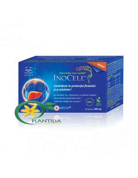 InoCell 60cps - Plantilia